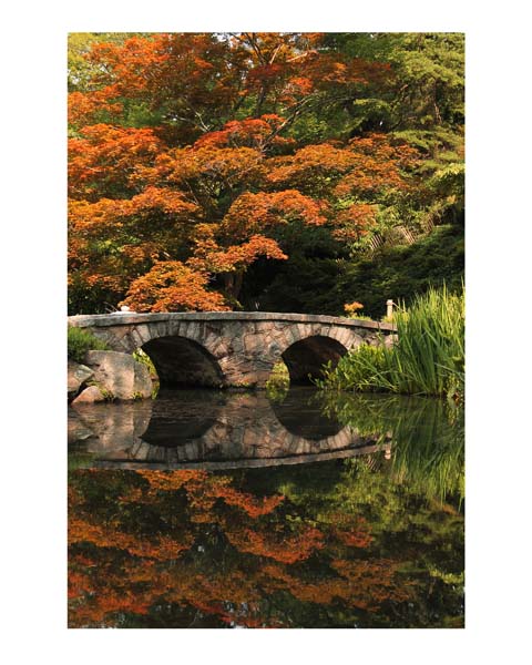 Gallery - High School Photo Contest - AAPT.org